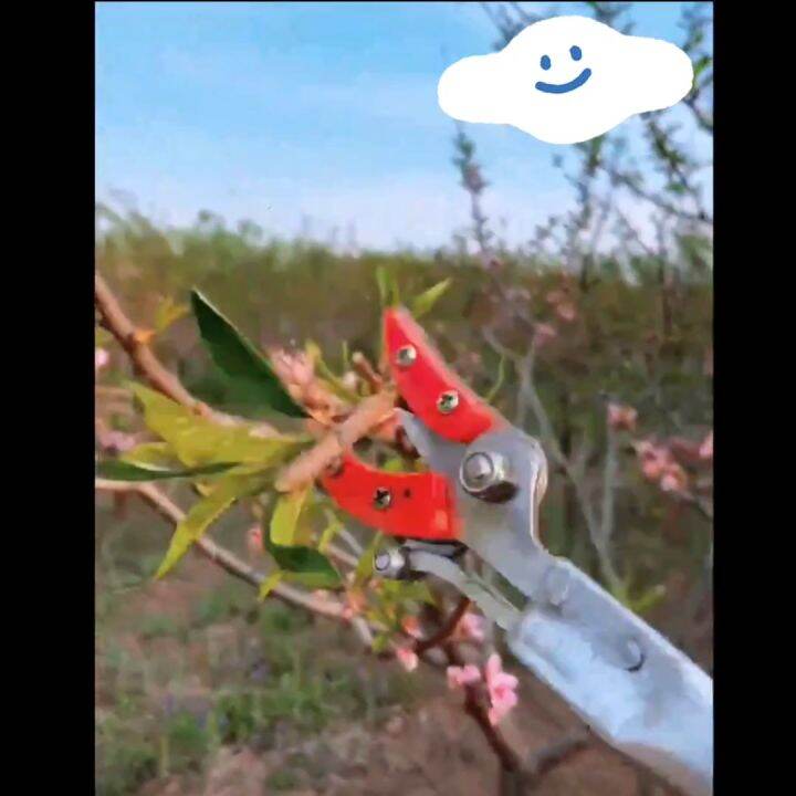 high altitude Pruning Shears 2M.Height Hard Durable Stable，fruit ...