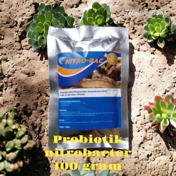 probiotik nitro bakter 100gram / probiotik / nitrobacter | Lazada Indonesia