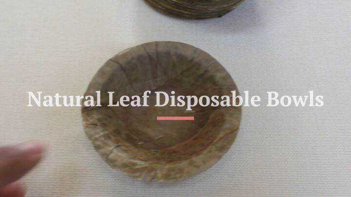 Natural Leaf Disposable Bowl 100 pieces +/- Thonnai | Lazada
