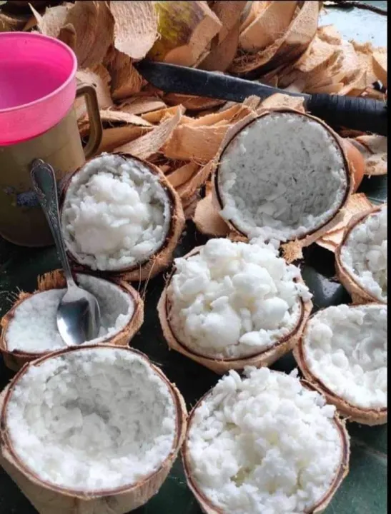 KELAPA KOPYOR KHAS PATI | Lazada Indonesia