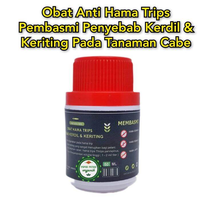 Obat Anti Hama Trips Insektisida Kontak Racun Atasi Hama Penyebab Daun ...