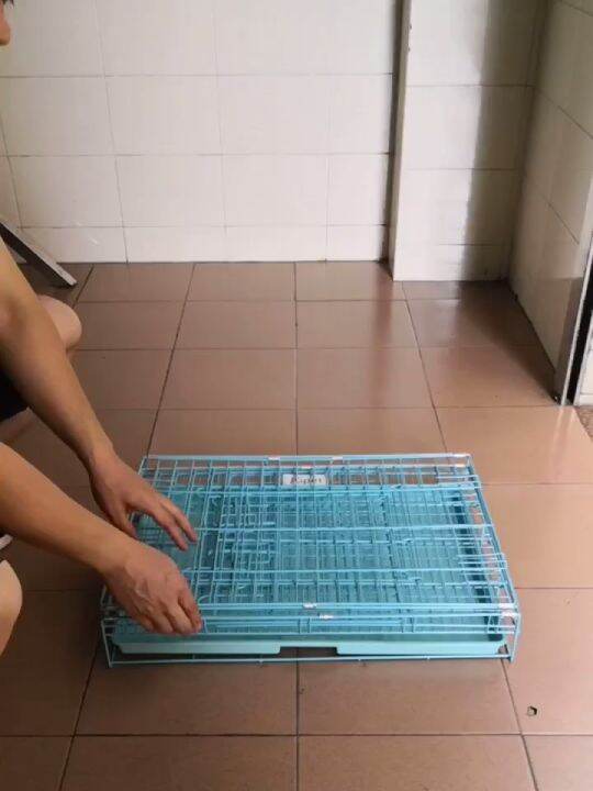 Foldable Rabbit Chicken Cage House Guinea Pig Supplies Full Set ...