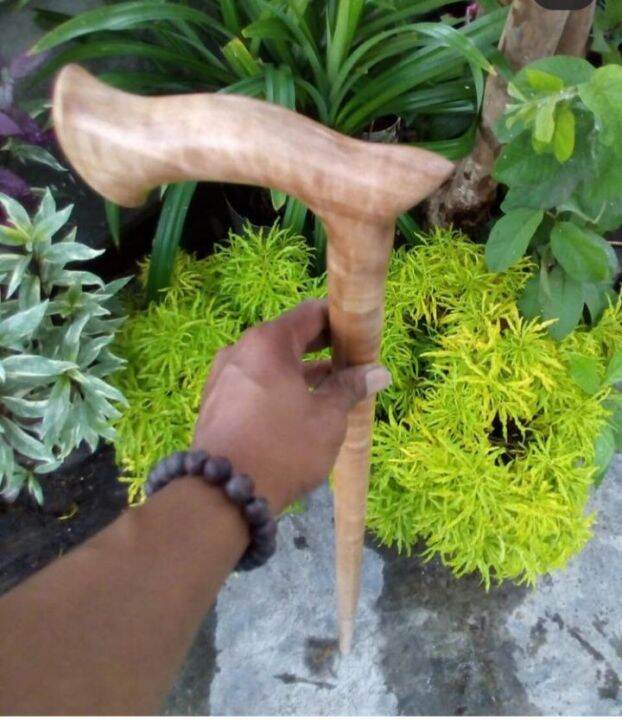 tongkat jalan kayu Bidara Arab barek 0025 | Lazada Indonesia