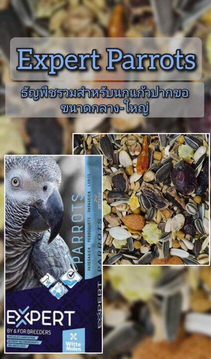 อาหารนกแก้วพรีเมี่ยม Expert premium parrot (แบ่งขาย) | Lazada.co.th