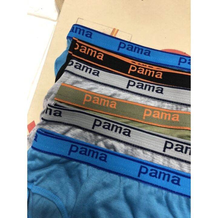 12 PIECES KIDS BRIEF | Lazada PH