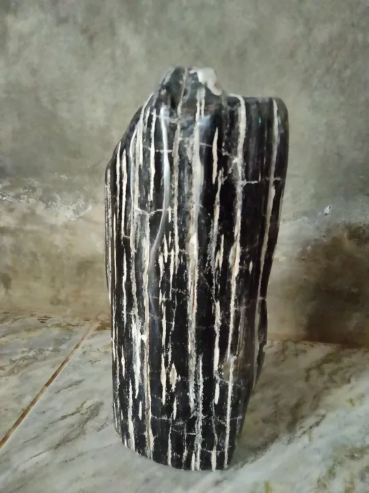 batu alam fosil pajangan/hiasan ruang/taman | Lazada Indonesia