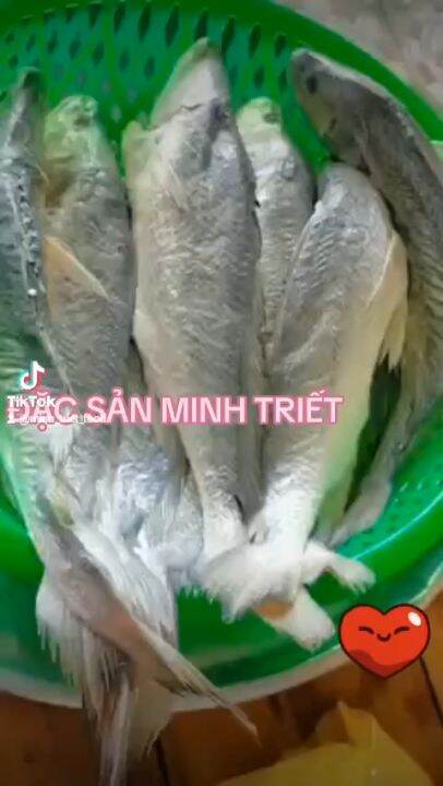 Cá Sửu Muối Dùi ( còn gọi là Khô-Mắm Cá Sửu )500-900g/con-Vị mặn thích ...