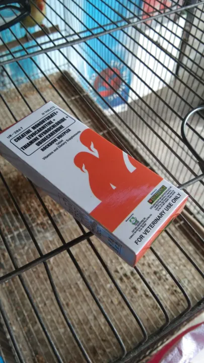 VOLPLEX FOR RACING PIGEON 10 PCS MAGANDANG PABAON SA IBON BAGO I BASKET ...