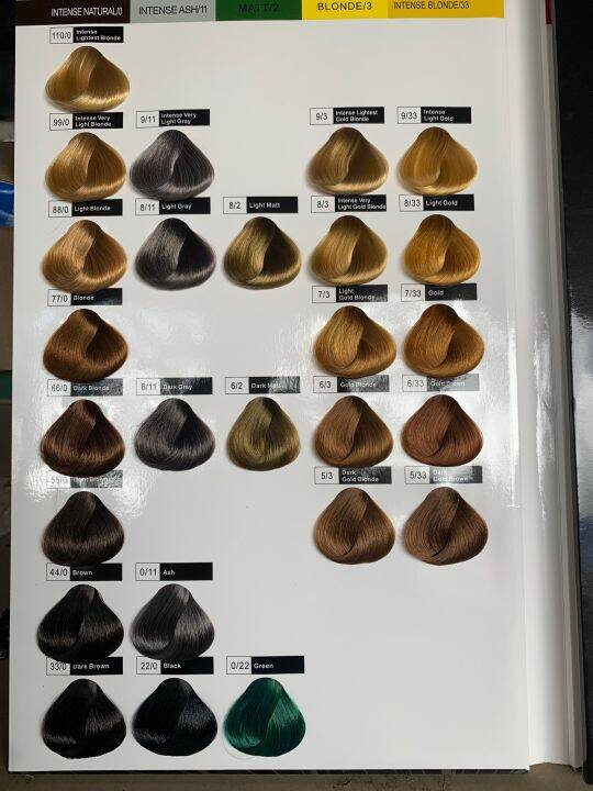 Ashley Hair Color | Lazada PH