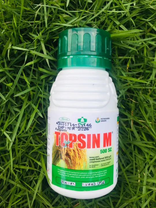 TOPSIN M 500 SC | 100 ml | FUNGISIDA | Lazada Indonesia
