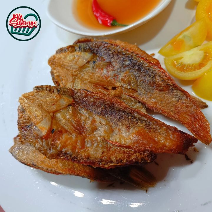 Labayan Pinikas (dried fish) | Lazada PH