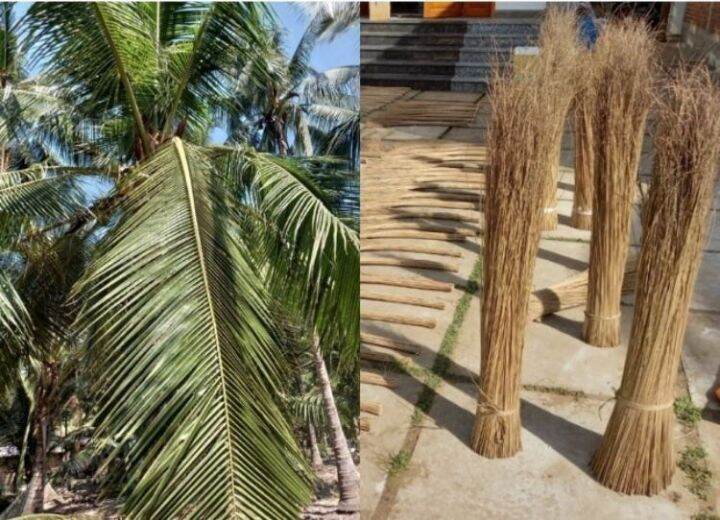 Cọng dừa khô/ cọng lá dừa trang trí thủ công 1kg | Lazada.vn