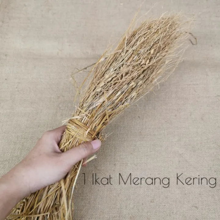 Bunga Kering Merang Padi Kering Dekorasi Properti Foto | Lazada Indonesia