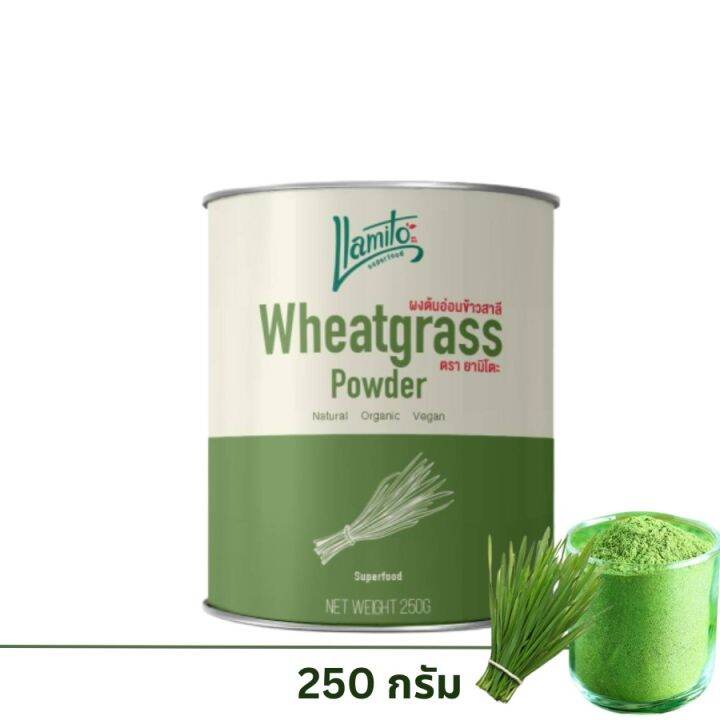 Organic Wheatgrass Powder 250 g. ผงต้นอ่อนข้าวสาลี ออร์แกนิค ผงข้าวสาลี ...