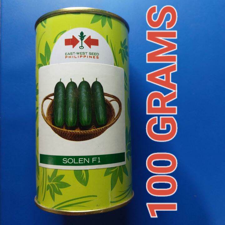 Solen F1 (100 grams) Hybrid Cucumber / Pipino by East West Seed | Lazada PH