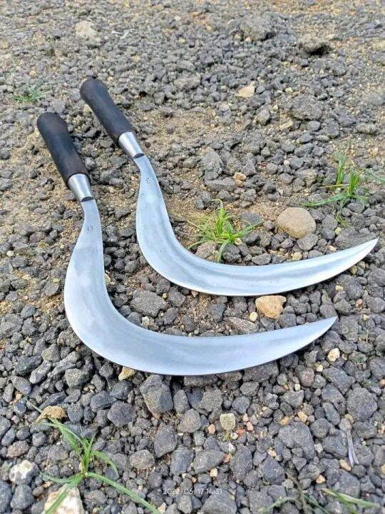 Sabit atau Arit kebun | Lazada Indonesia