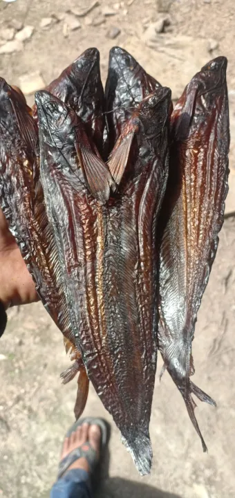 Ikan Salai Selais Khas Riau | Lazada Indonesia