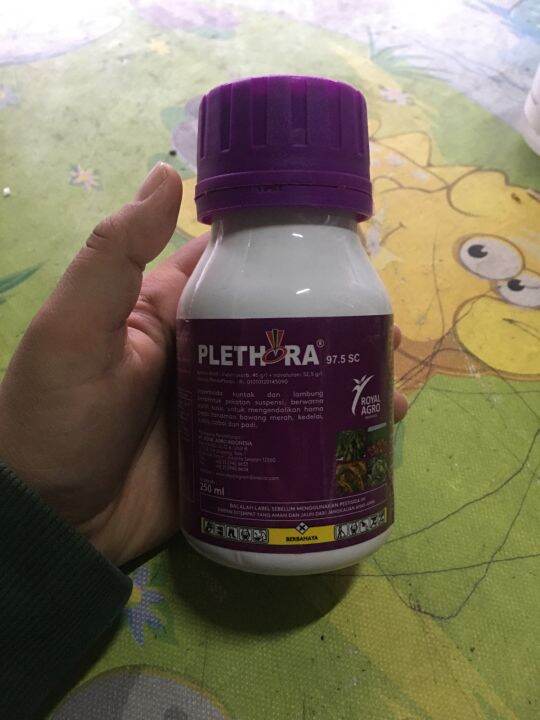 Insektisida plethora pletora ukuran 250 ml | Lazada Indonesia