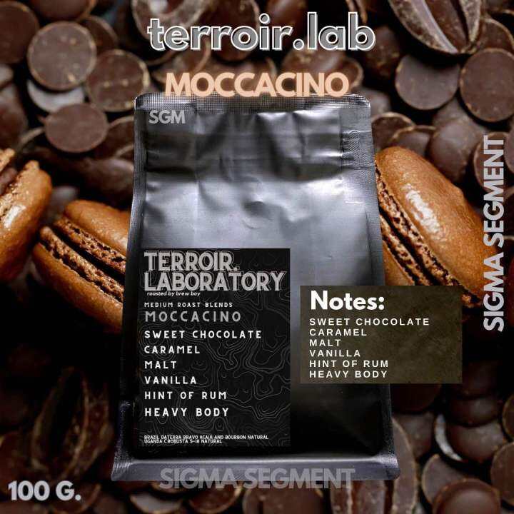 เมล็ดกาแฟ MOCCACINO (100g.) — TERROIR LABORATORY | Lazada.co.th