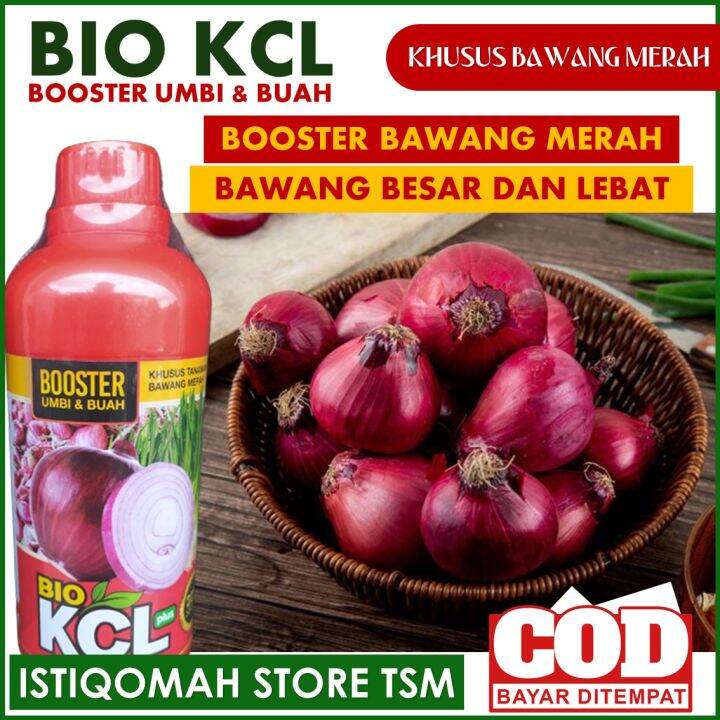 BIO KCL Booster Khusus Bawang Merah Terbaik - Obat Penyubur Bawang ...