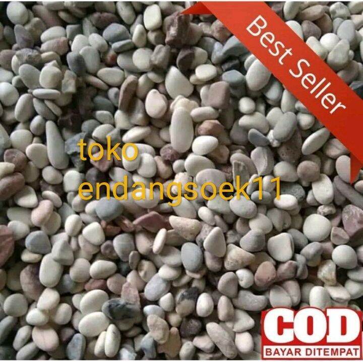 Batu kerikil putih 1kg alami Batu aquascape batu aquarium Batu alami ...