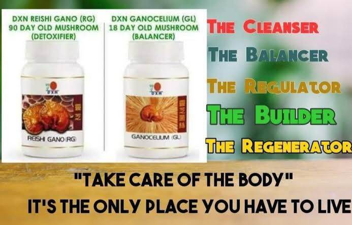 Ganoderma Reishi Gano (RG) and Ganocelium (GL) 450 mg x 30's/Bottle ...