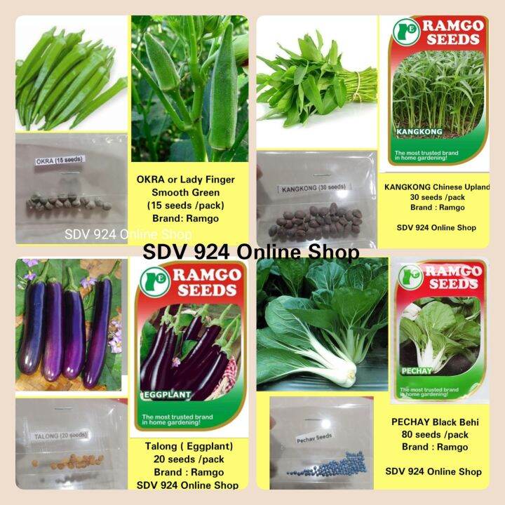 VEGETABLES SEEDS (OKRA, TALONG, KANGKONG, PECHAY, ONION) | Lazada PH