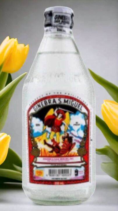 GSM GIN BILOG 350ML | Lazada PH