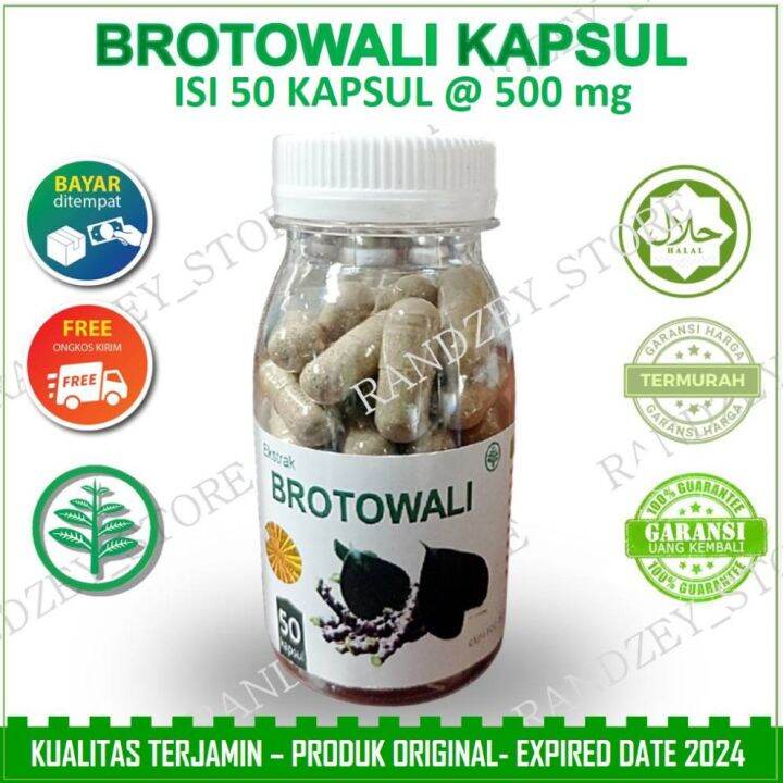 Obat gatal kulit herbal brotowali untuk biduran eksim alergi scabies ...