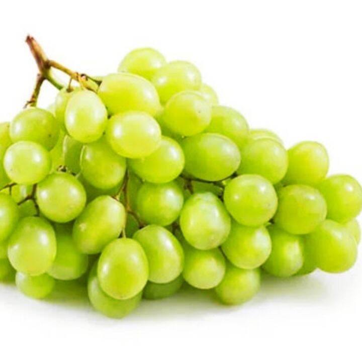 Buah Anggur Hijau Seedless Buah Segar IBAZA fruitsBOX | Lazada Indonesia