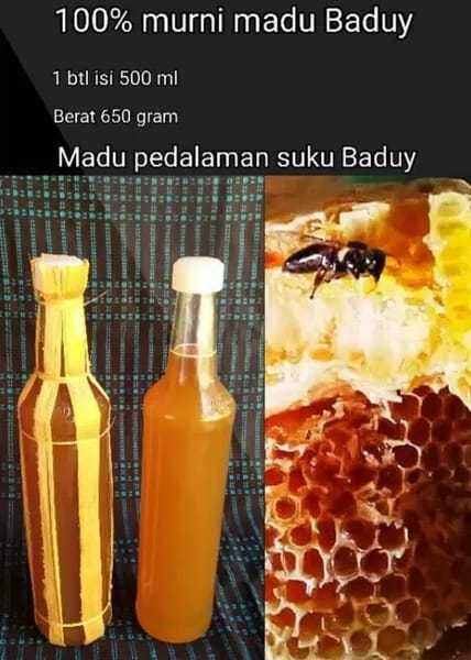 Madu baduy kemasan botol kaca 450ml madu hutan lebah liar makanan ...