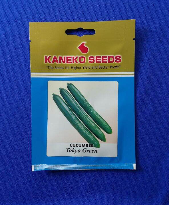 Tokyo Green (1 grams or 40 seeds) Hybrid Japanese Cucumber / Pipino by ...