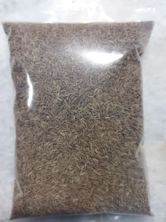 เม็ดยี่หร่า jeera (Cumin Seeds) 100g | Lazada.co.th