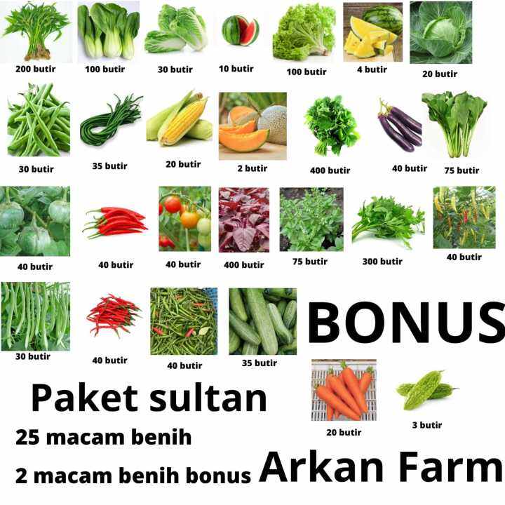 PAKET SULTAN 25 JENIS BENIH + BONUS 2 MACAM BENIH | Lazada Indonesia