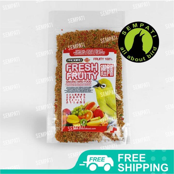 Pakan Burung Pleci