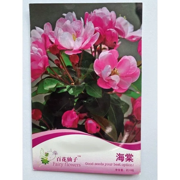 เมล็ดพันธุ์ ต้นไห่ถัง (Malus spectabilis) บรรจุ 5 เมล็ด | Lazada.co.th