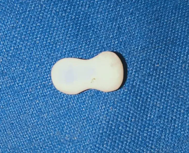 Mutya Kambal na Buto ng Okra with FREEBIES | Lazada PH