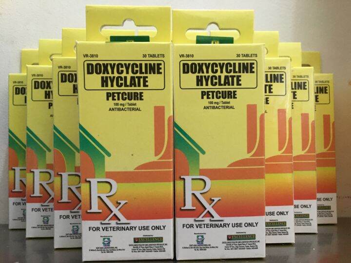 Petcure for Dogs | Lazada PH