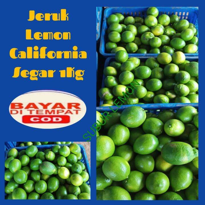 Jeruk Lemon California Hijau Segar 1kg | Lazada Indonesia