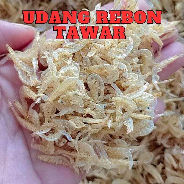 Udang Rebon Kering Tawar asli kering | Lazada Indonesia