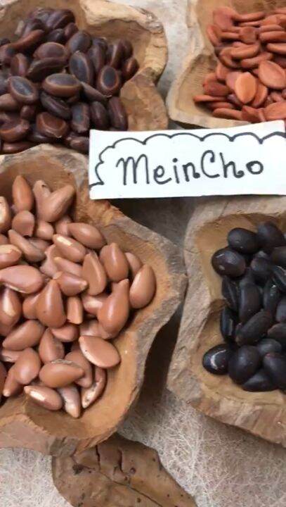 (1kg/700-1400 biji) Kolase Biji Trembesi Dakon Sawo Kecik Congklak ...