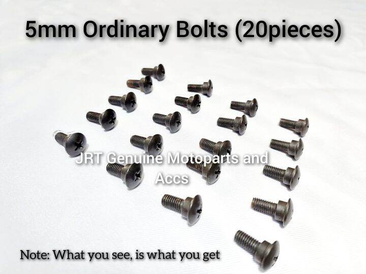 Bolts 5mm Ordinary Fine Thread 20 pieces | Lazada PH