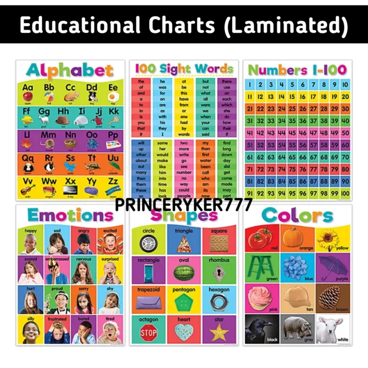 EDUCATIONAL CHARTS FOR KIDS | A4 Size | Laminated Educational Wall ...