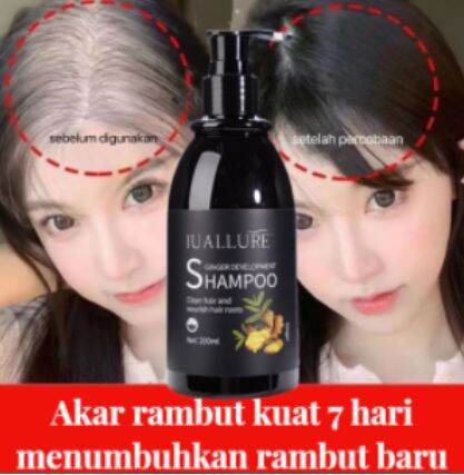 Shampo Jahe Sampo Anti Rambut Rontok Meningkatkan Pertumbuhan Rambut ...