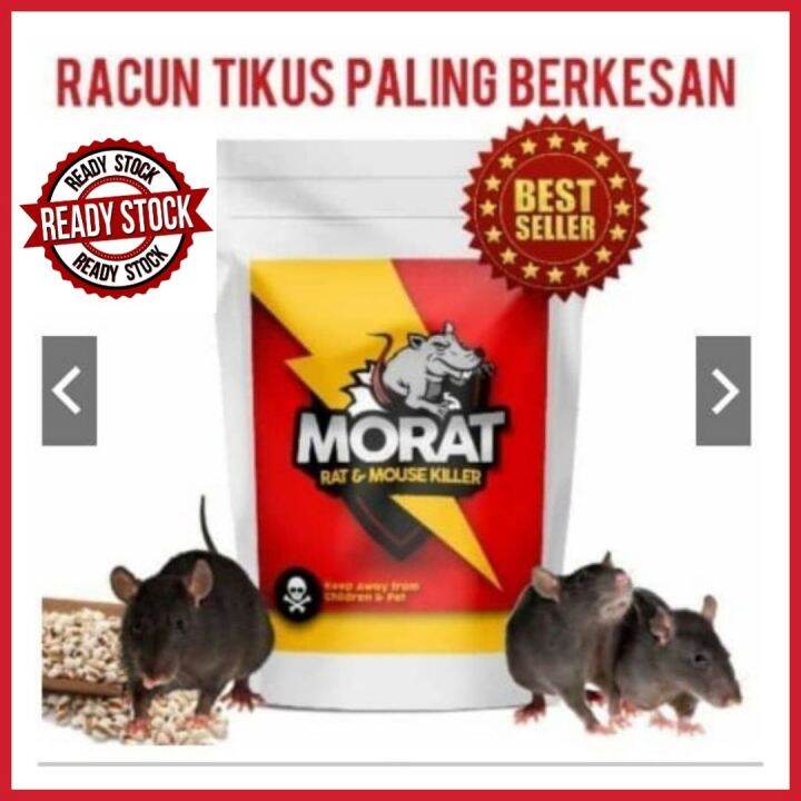 Ubat Tikus Morat/Rat Killer Racun Tikus Paling Berkesan Racun Tikus ...