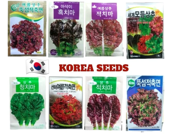 KOREAN VEGETABLES SEEDS Repack Lettuce Seeds Authentic Made in korea ...