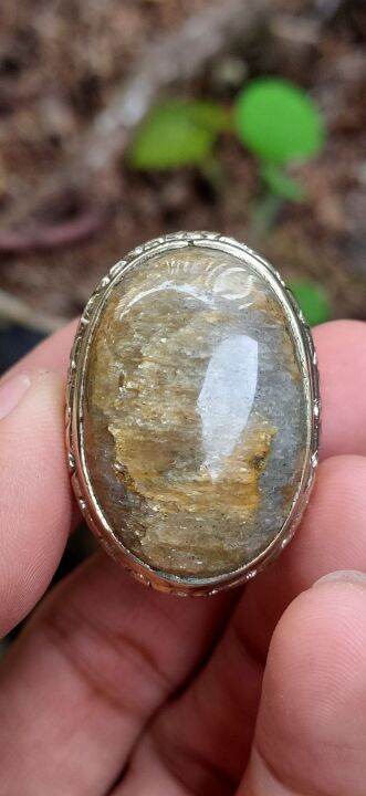 [ UNIK ] Batu Fosil Kayu - Warna Coklat KeEmasan ( Batu Fosil Natural ...