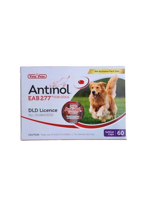 Antinol 60 เม็ด (1 กล่อง ) แอทินอล อาหารเสริมบำรุงและรักษาข้ออักเสบ ...