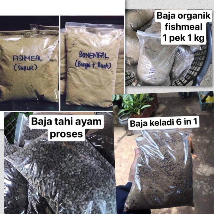 Baja Fishmeal dan Bonemeal- baja organik daripada ikan, baja keladi 6 ...