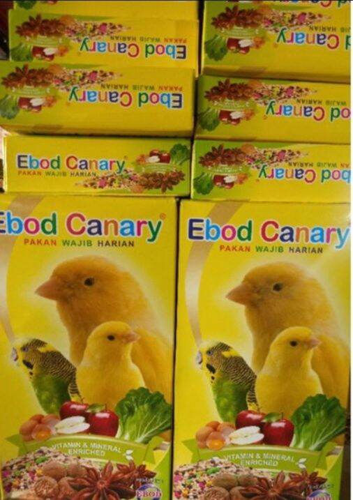 EBOD CANARY KEMASAN DUS | Lazada Indonesia